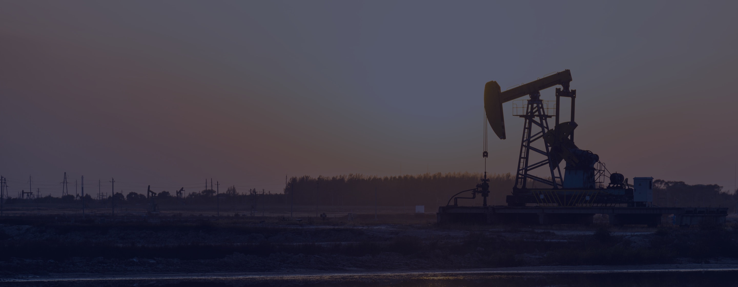 About the Voluntary Principles Initiative : Voluntary Principles on ...