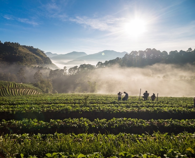 The Voluntary Principles Initiative : Voluntary Principles on Security ...