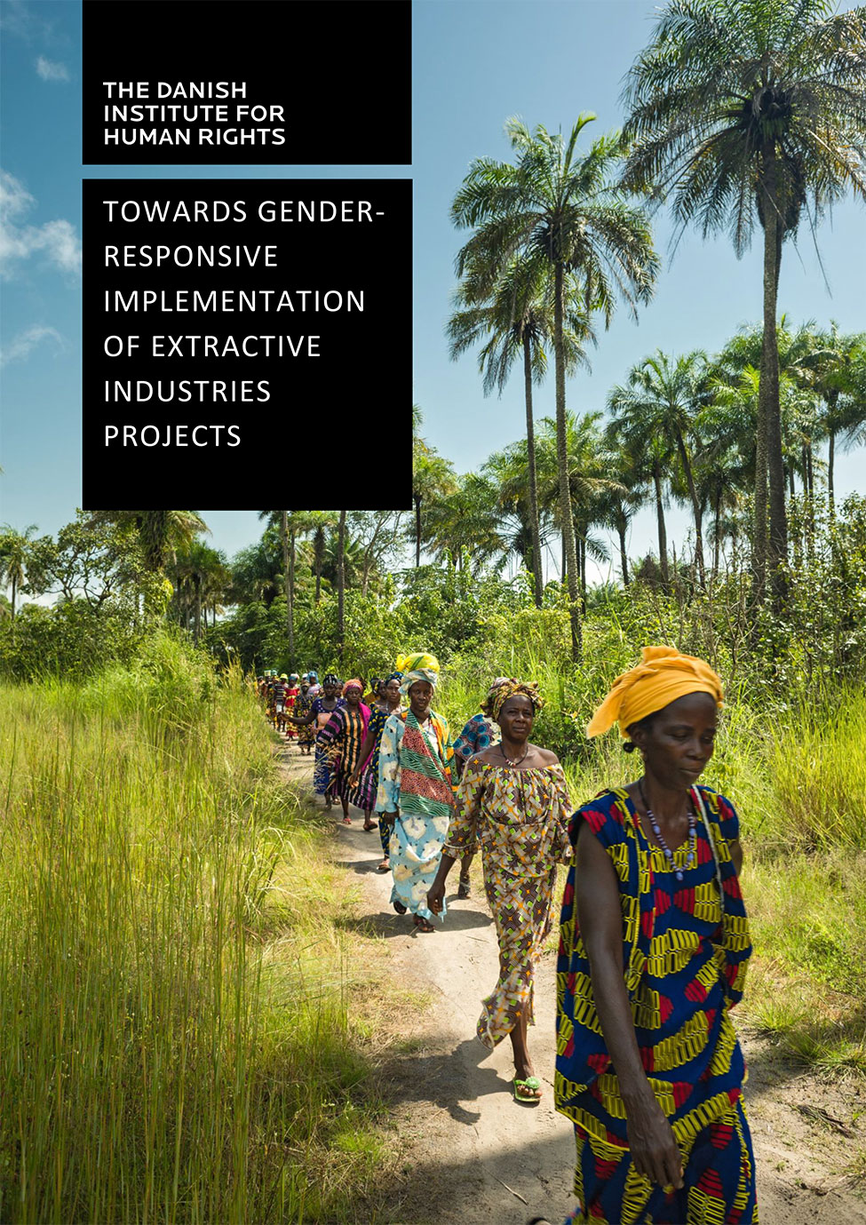 Towards Gender Responsive Implementation of Extractive Industries ...