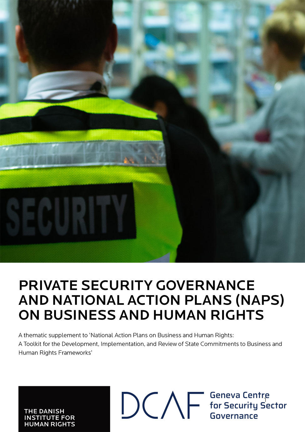 Private Security Governance and National Action Plans (NAPs) on ...